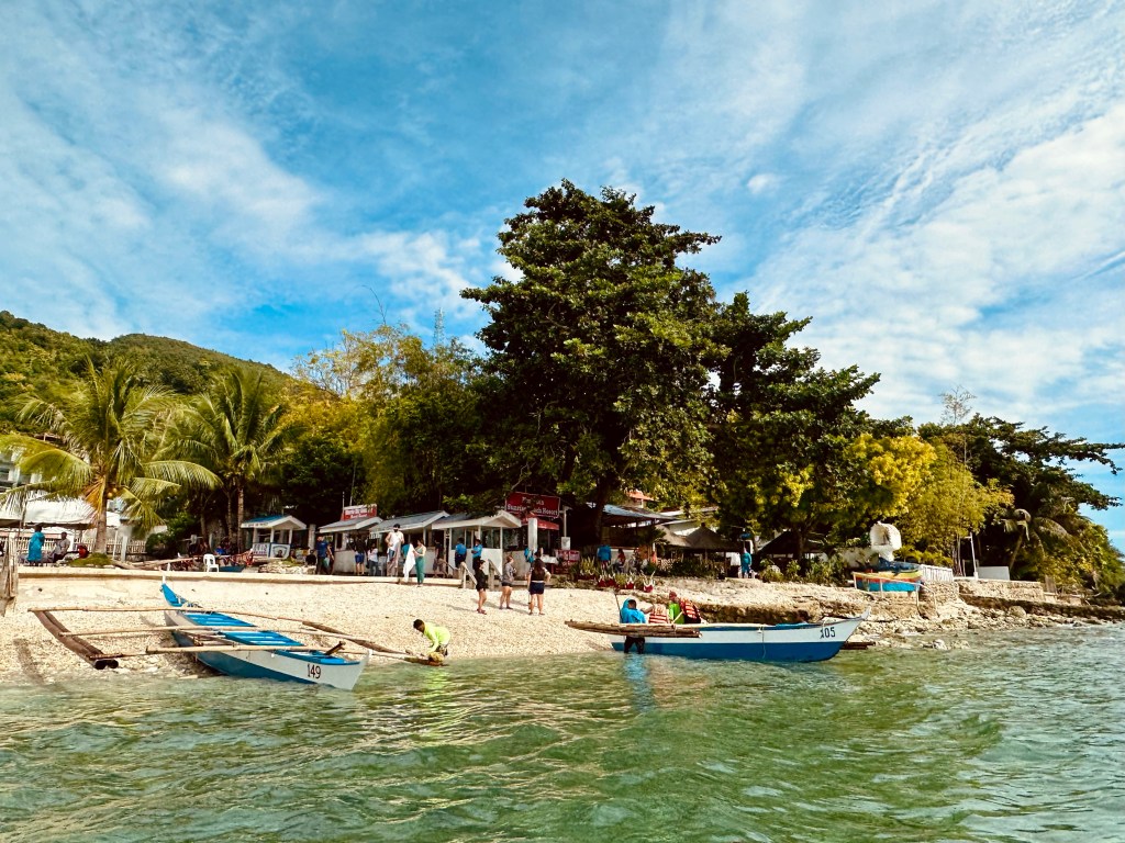 Exploring two of Cebu’s Best Diving Spots: Oslob & Moalboal – Resurface ...